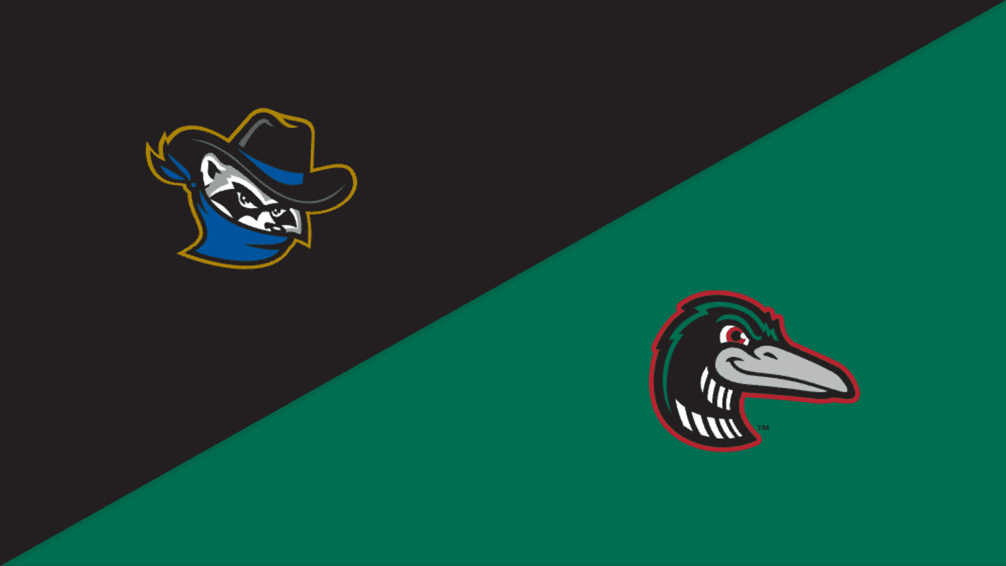 Gameday: River Bandits 7, Loons 1 Final Score (06/23/2024) | MiLB.com